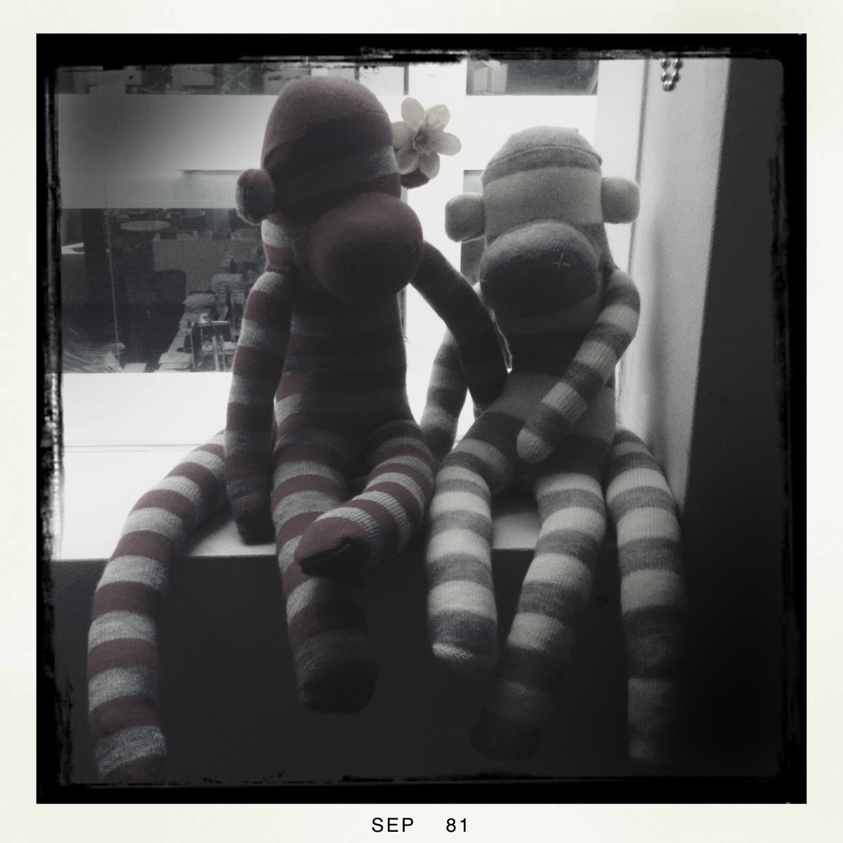 kenny monkey – Don't Forget the Monkey